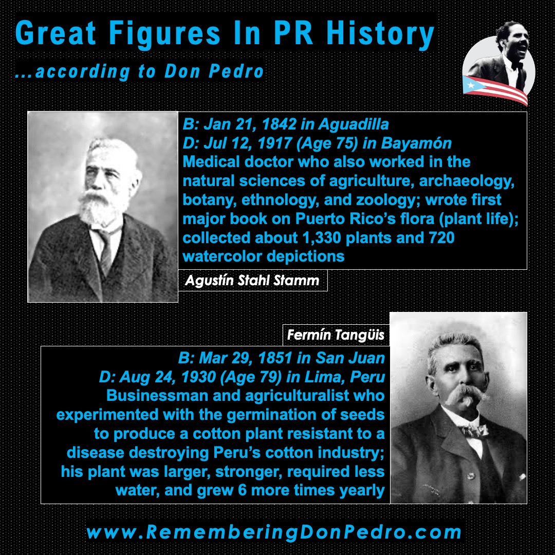 Great Figures In Puerto Rican History (infographic) – Remembering Don Pedro